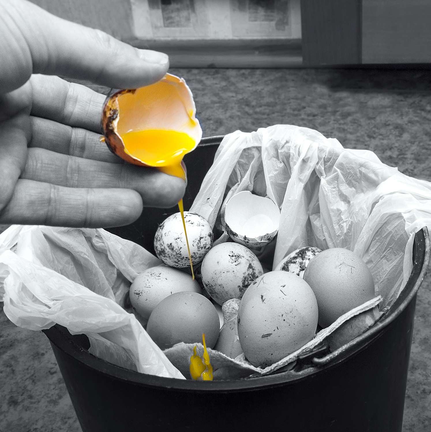 If You See This, Your Eggs Are Definitely Spoiled