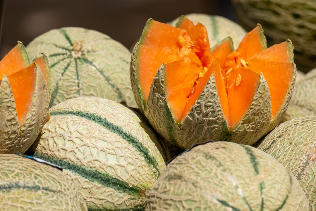 Cantaloupe Recall in Four States Has Thousands of Cartons Pulled From ...